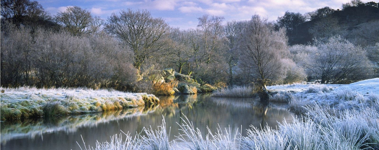 Woodland walks, frosty mornings and more: how to make the most of Conwy ...