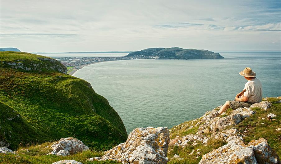 Little Orme - Nature Reserve in Llandudno, Llandudno - Visit Conwy