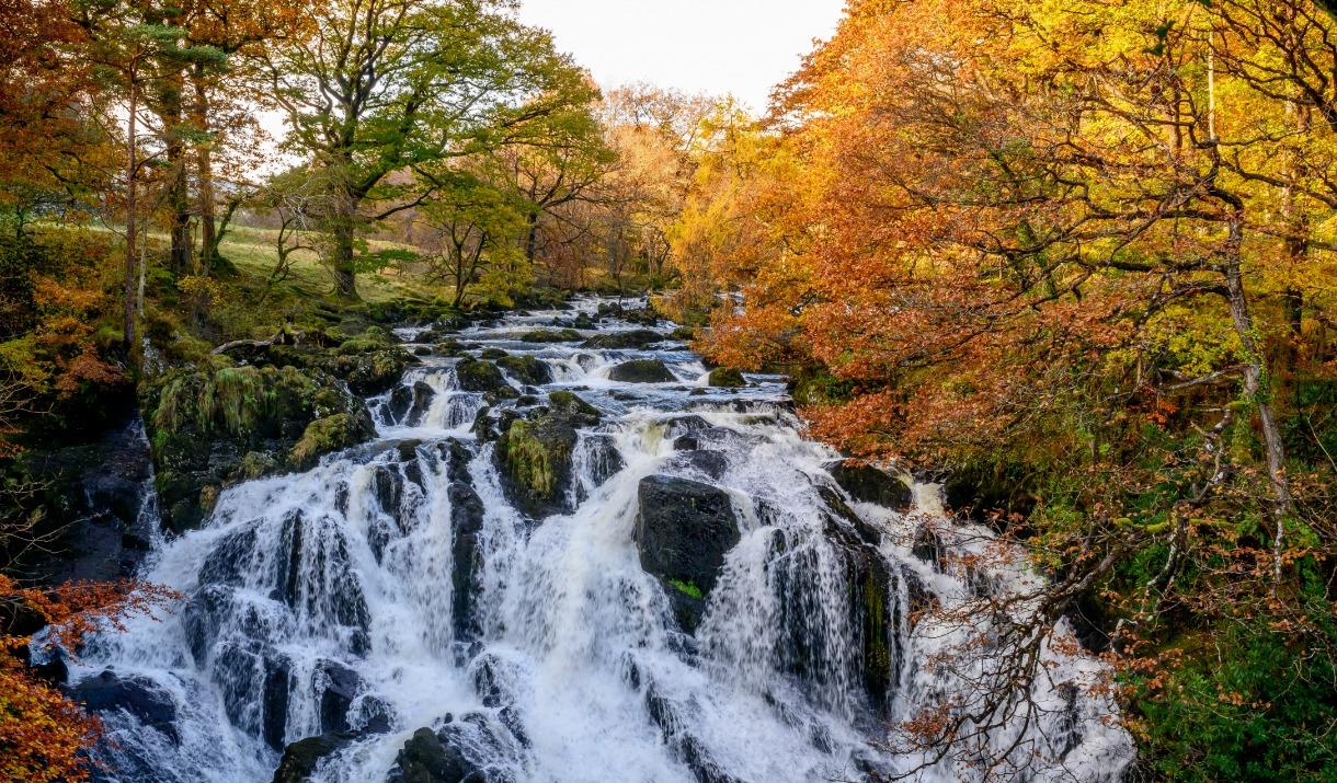 Swallow Falls - Natural Feature in Betws-y-Coed, Betws-y-Coed - Visit Conwy